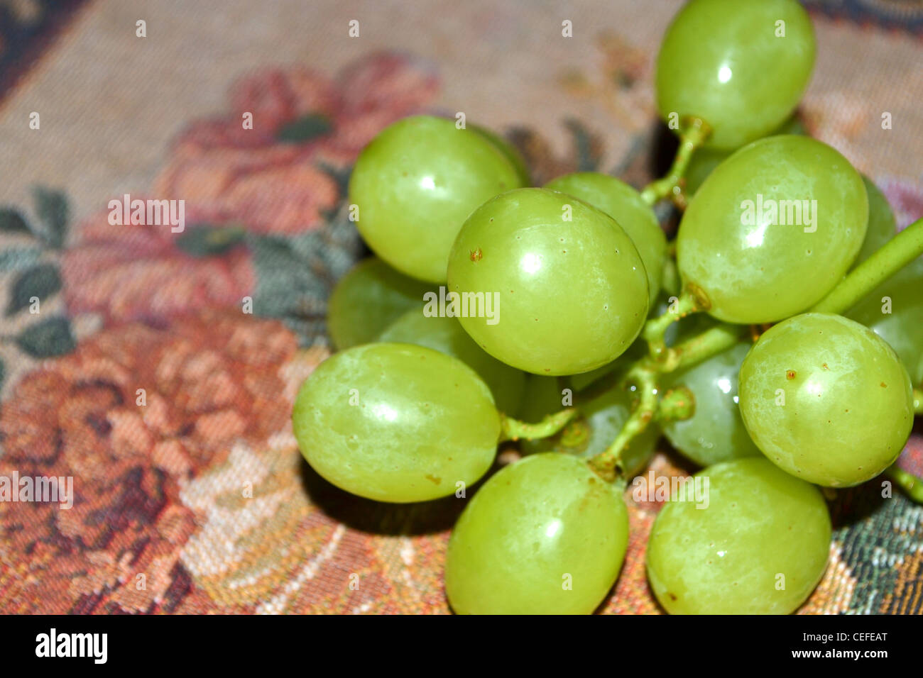 A bunch of plump juicy green grapes Stock Photo - Alamy