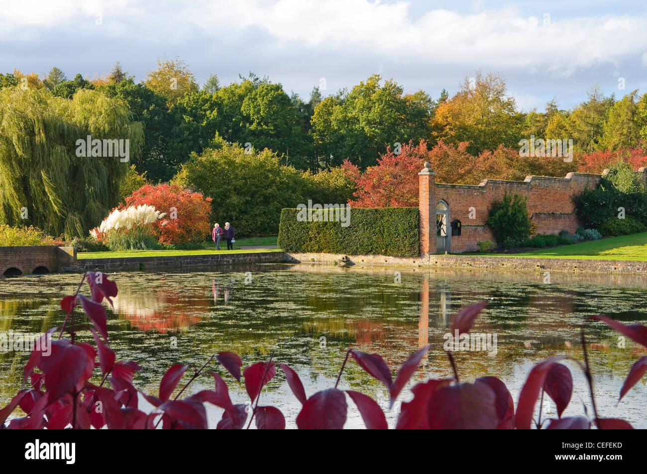 Marks hall gardens hi-res stock photography and images - Alamy