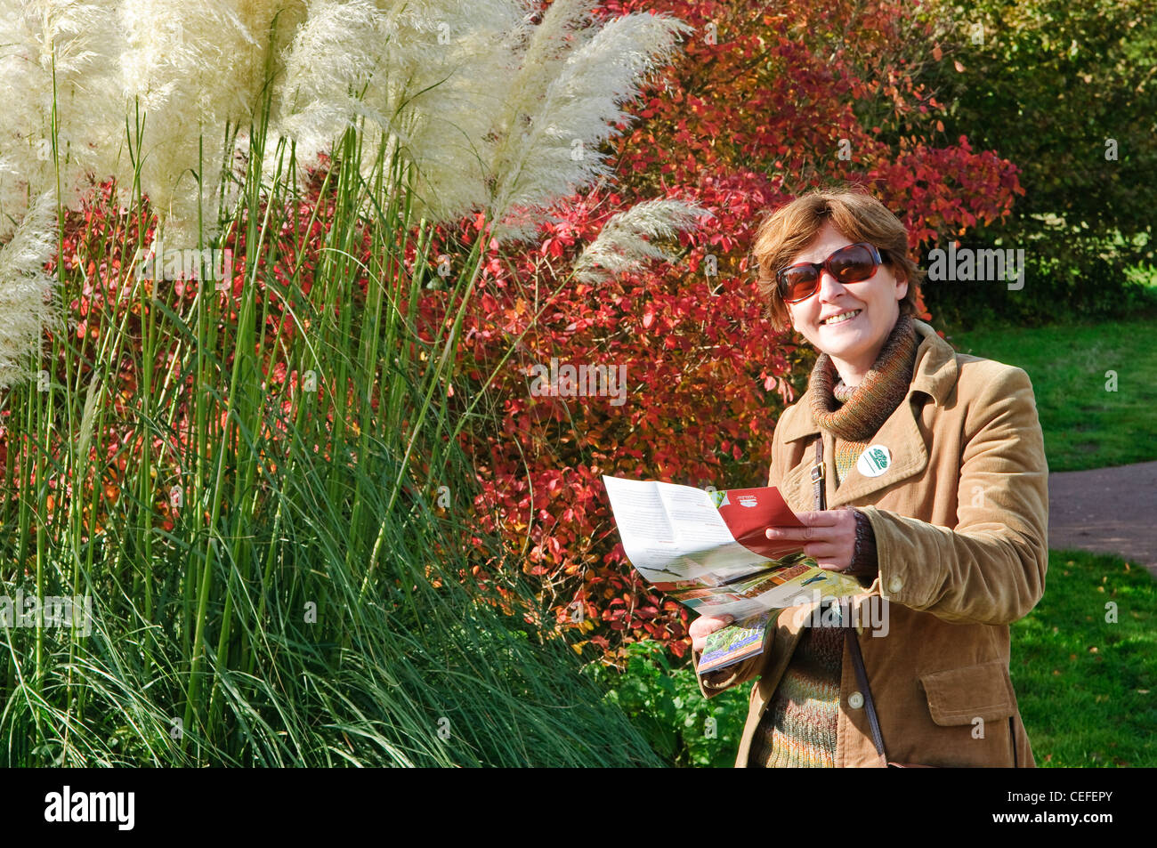 Woman exploring Marks Hall Gardens and Arboretum. Marks Hall, Essex, UK ...