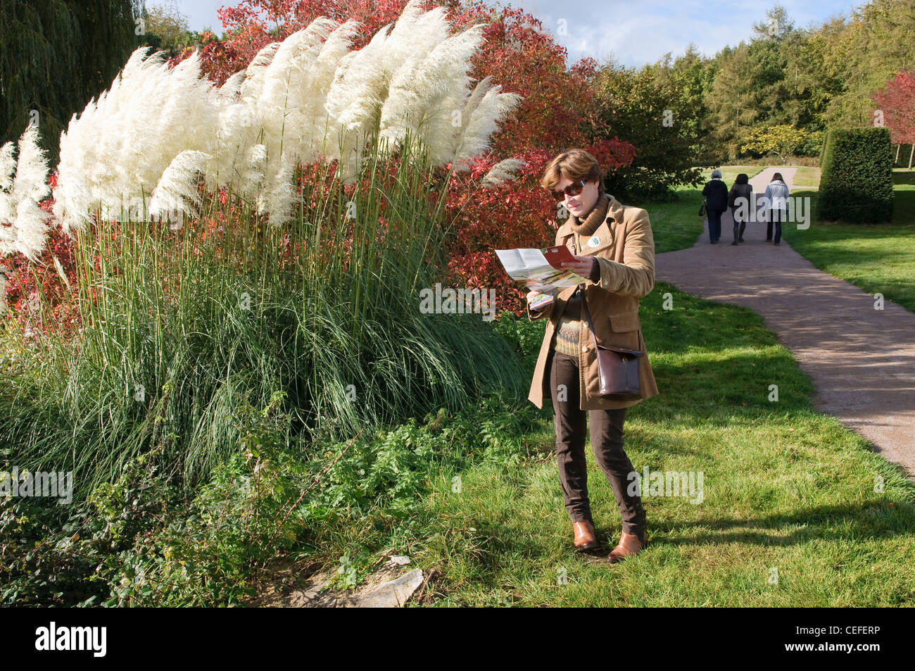 Woman exploring Marks Hall Gardens and Arboretum. Marks Hall, Essex, UK ...