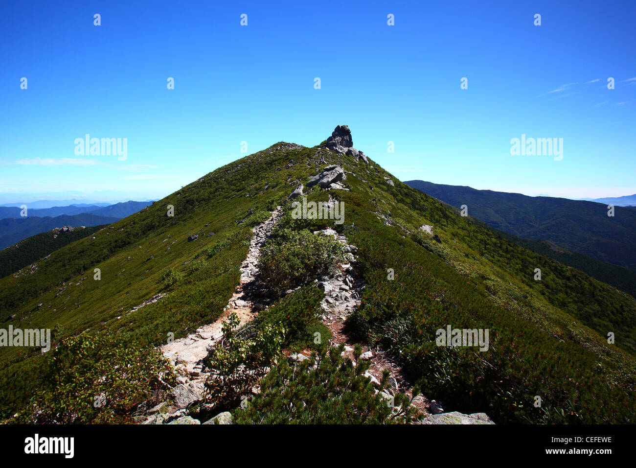 Kimpo hi-res stock photography and images - Alamy
