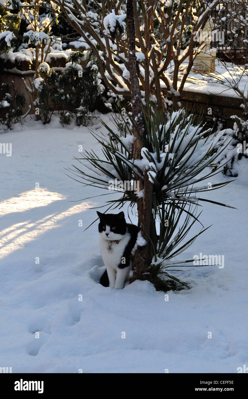 Exceptionally long, cold winter in England of 2011-2012 with West ...