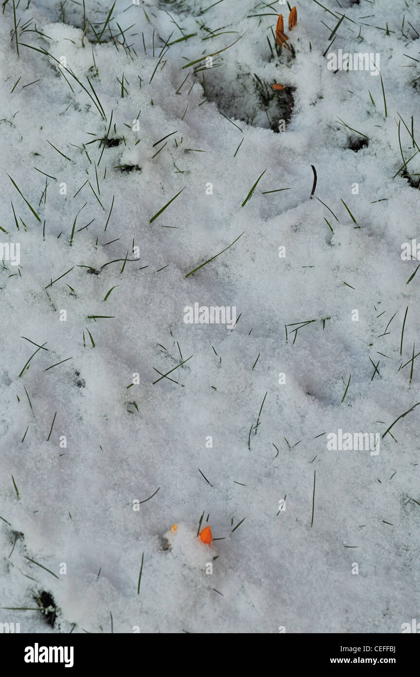 Exceptionally long, cold winter in England of 2011-2012 with West ...