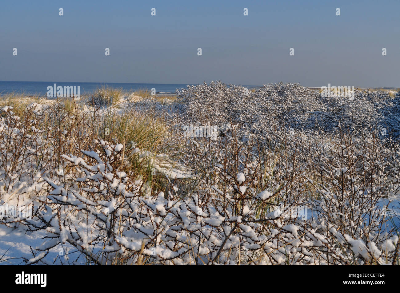 Exceptionally long, cold winter in England of 2011-2012 with West ...