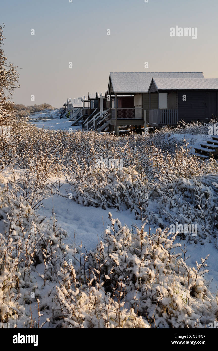 Exceptionally long, cold winter in England of 2011-2012 with West ...