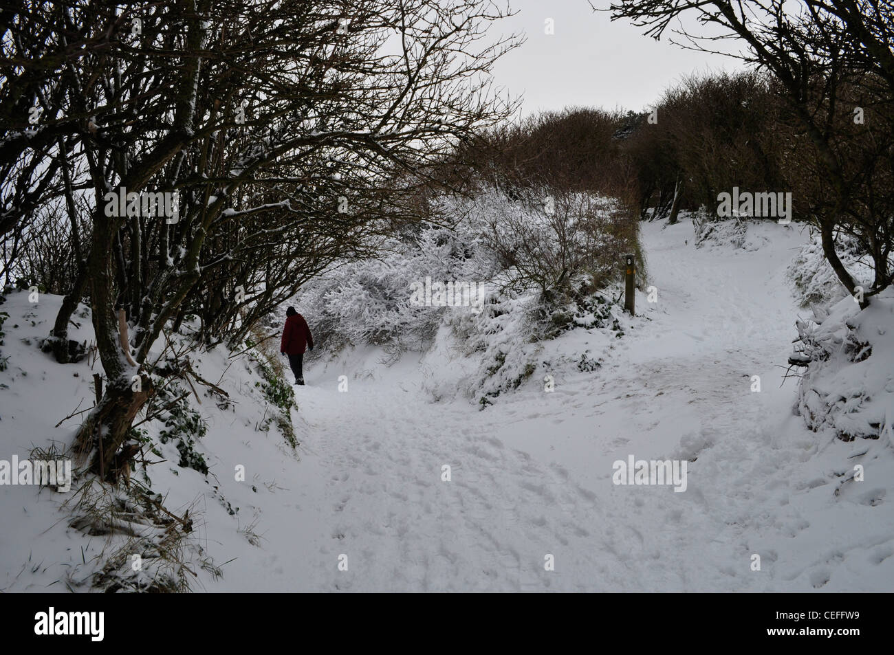 Exceptionally long, cold winter in England of 2011-2012 with West ...