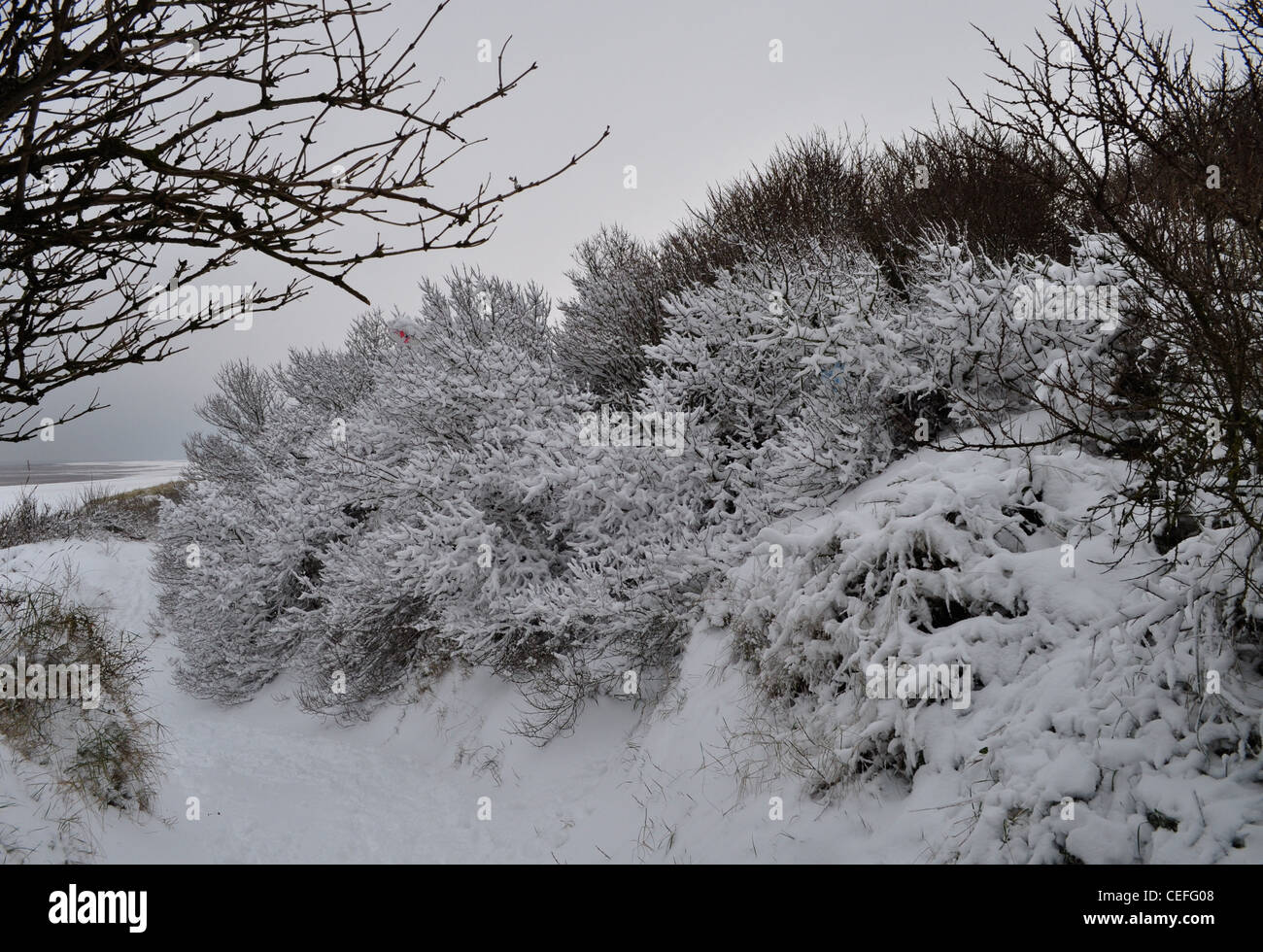 Exceptionally long, cold winter in England of 2011-2012 with West ...