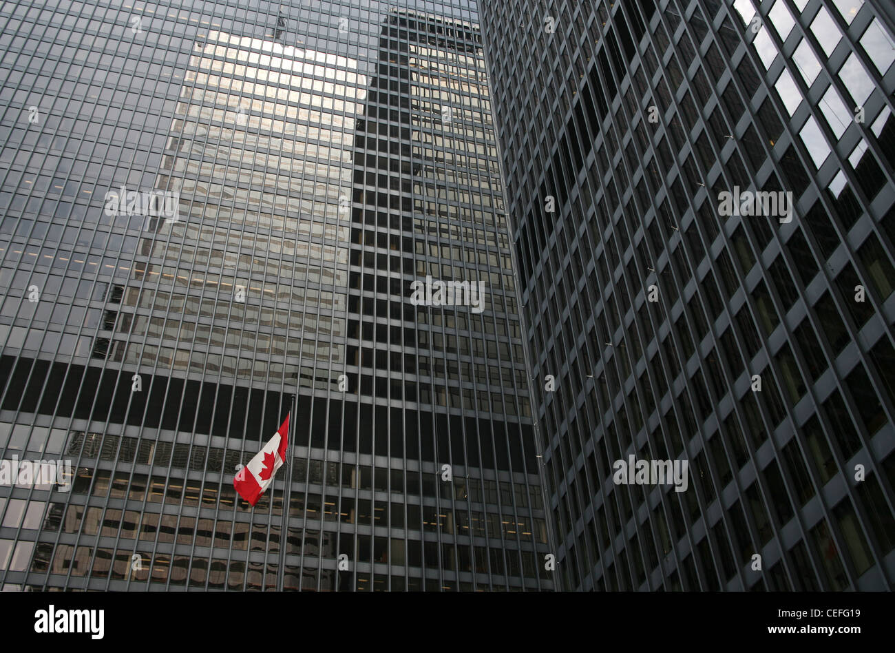 Toronto maple leaf hi-res stock photography and images - Alamy