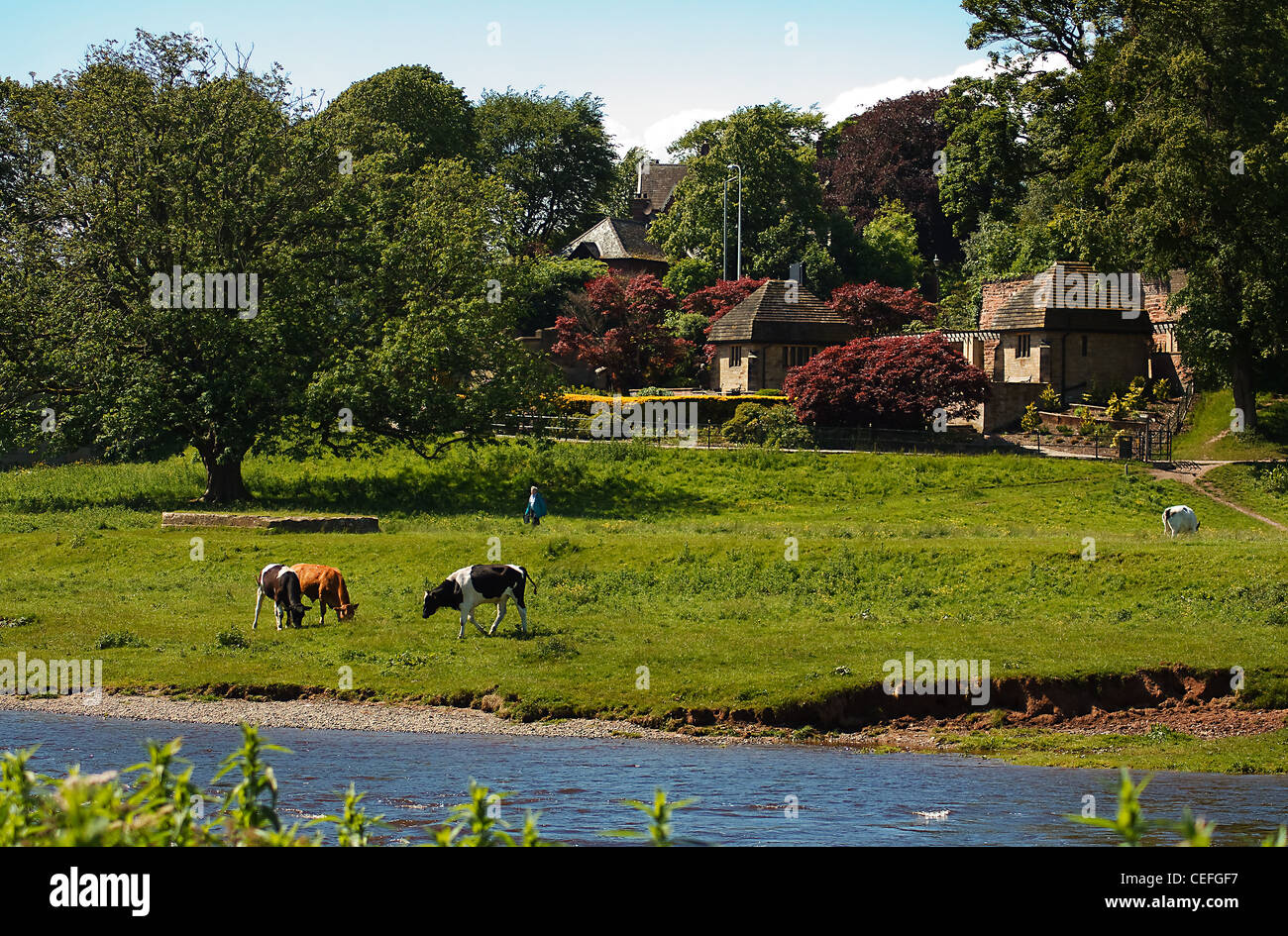 Overlooking the River Eden in carlisle towards Rickerby Park and the ...