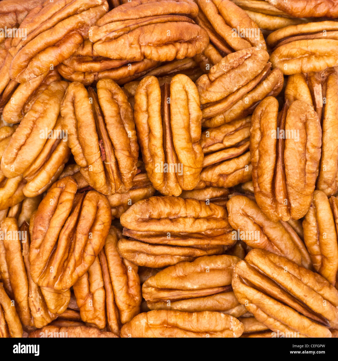 Pecan detail hi-res stock photography and images - Alamy