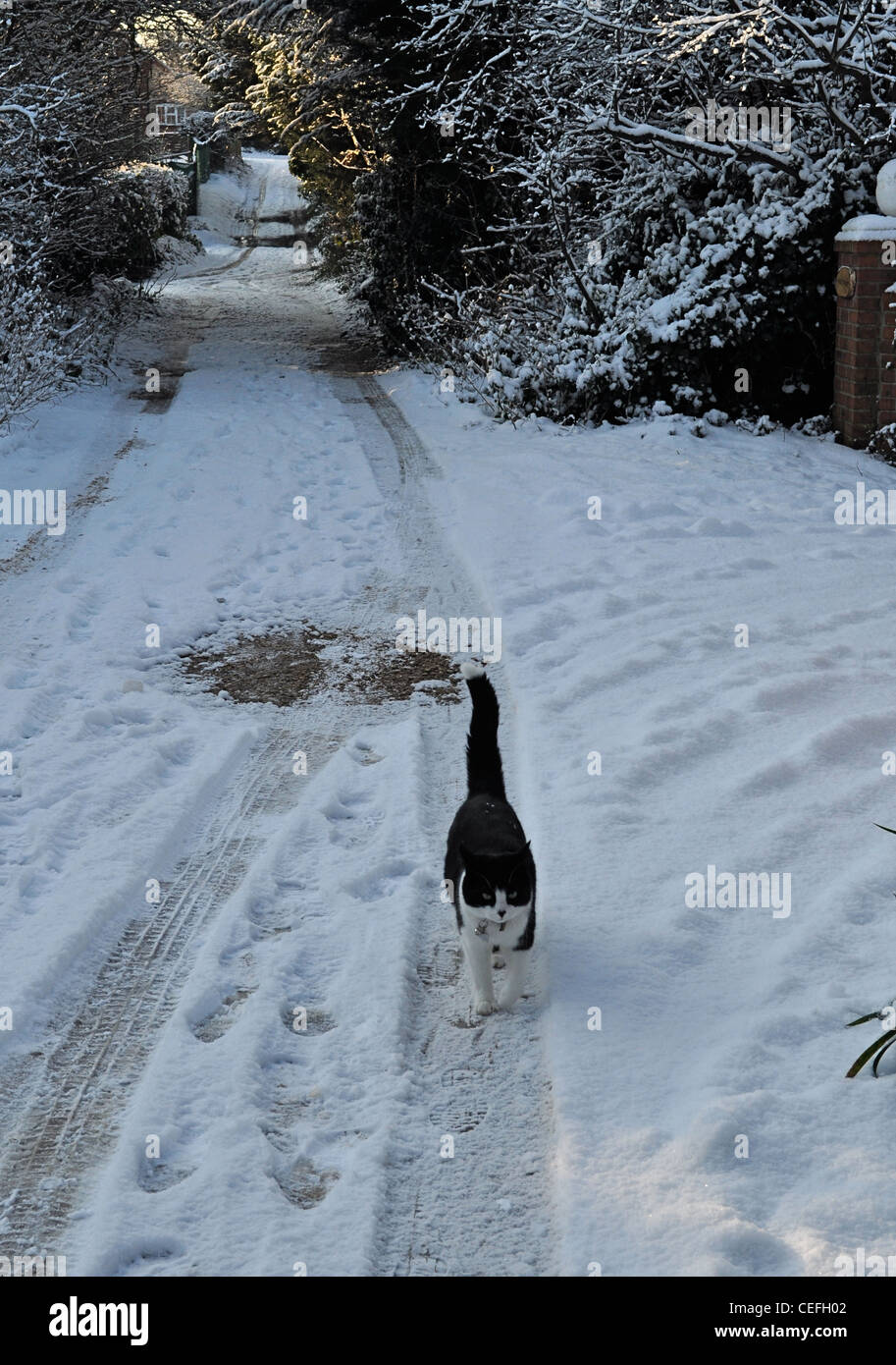 Exceptionally long, cold winter in England of 2011-2012 with West ...