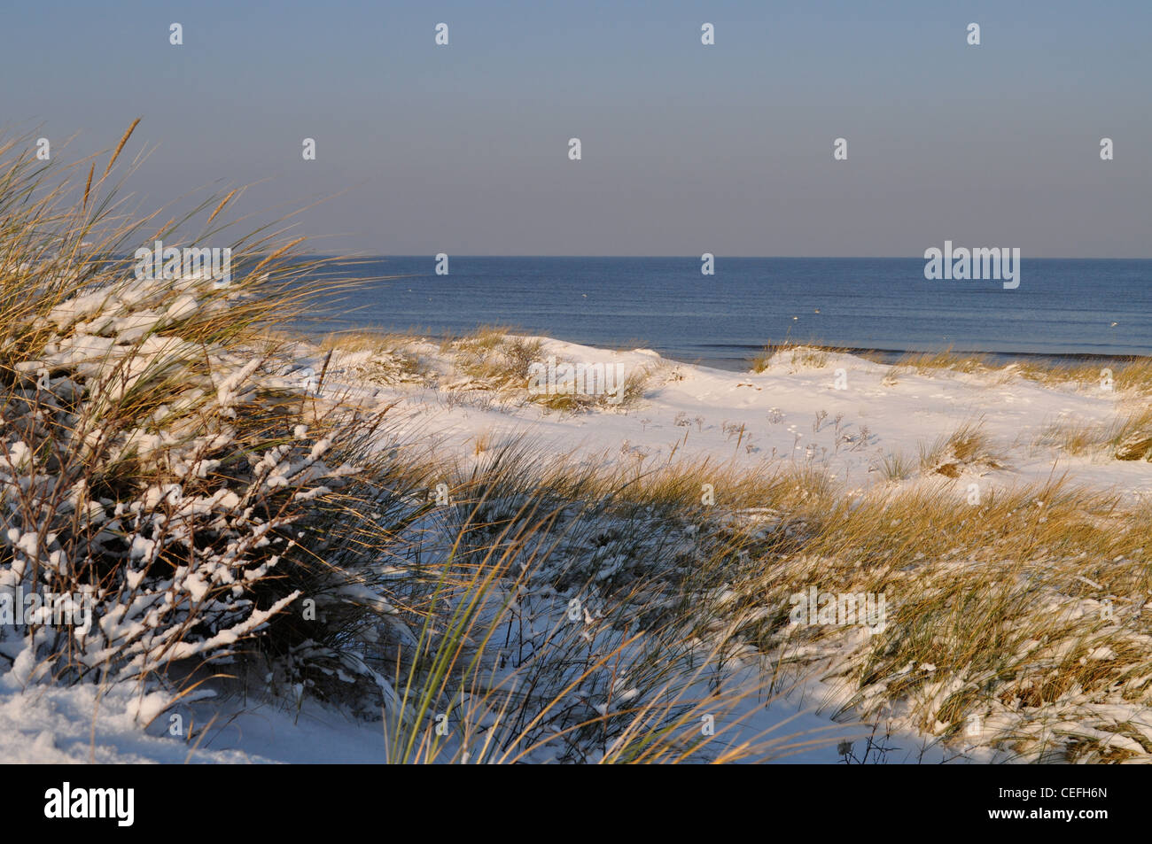 Exceptionally long, cold winter in England of 2011-2012 with West ...