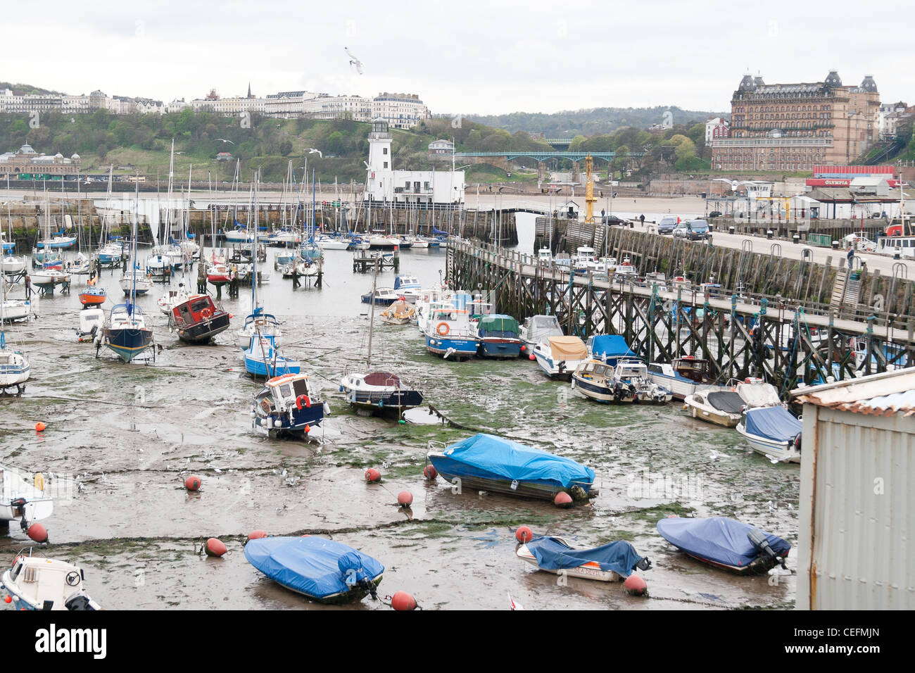 Scarborough Harbour with the tide out Stock Photo - Alamy