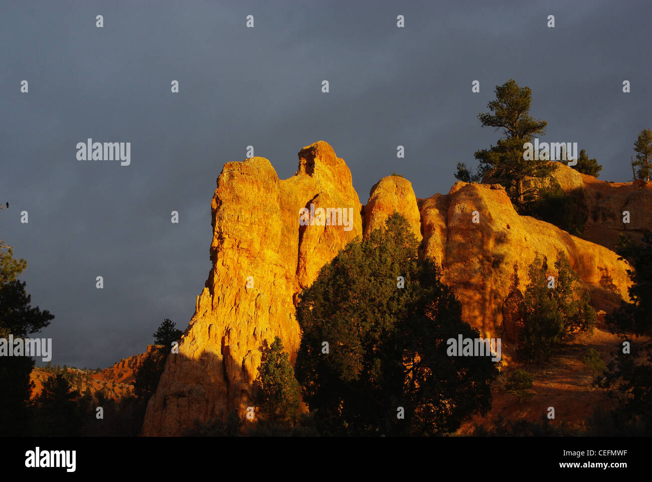 Rock canyon wall walls hi-res stock photography and images - Alamy