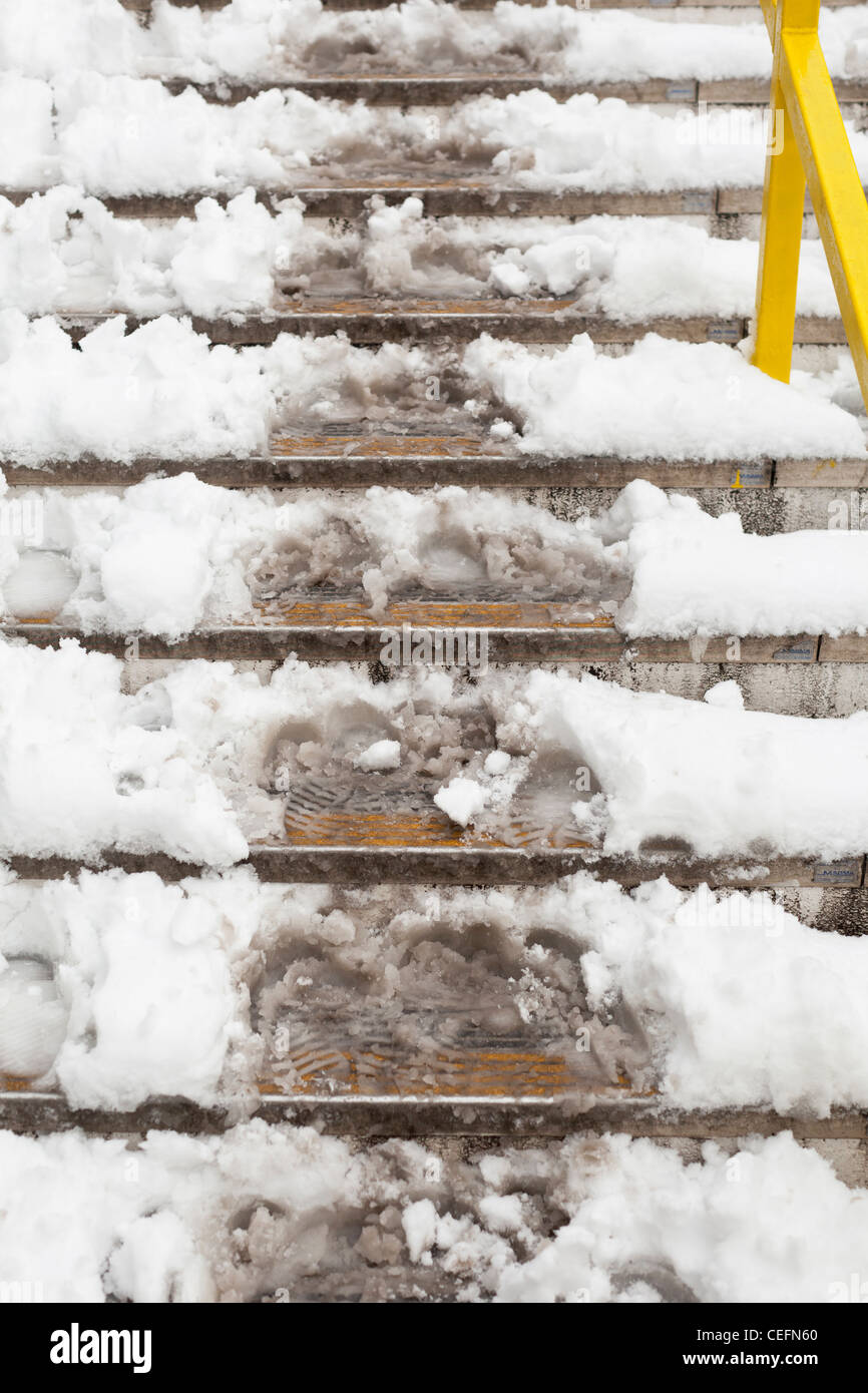 Icy Steps Stair Treads