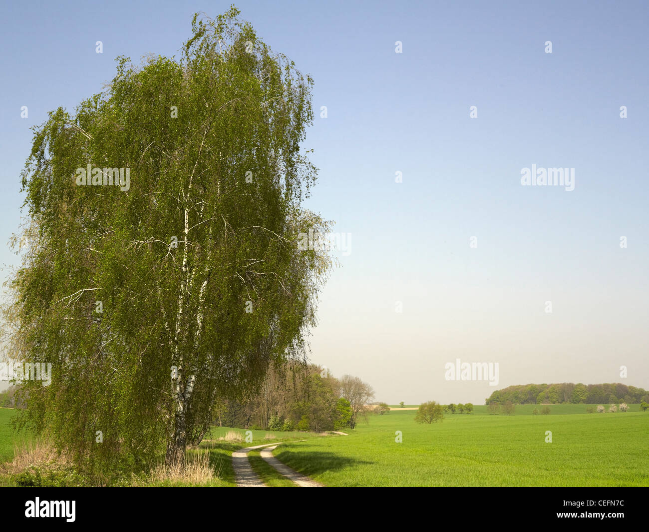 idyllic rural landscape at spring time in Hohenlohe (Germany Stock ...