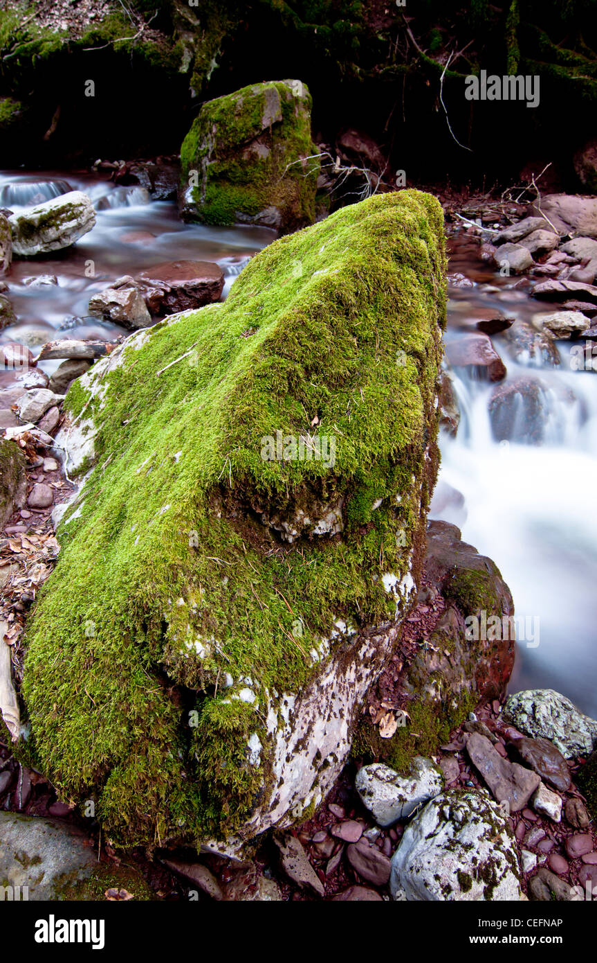 River flow at Pyrenees during spring, Spain Stock Photo - Alamy
