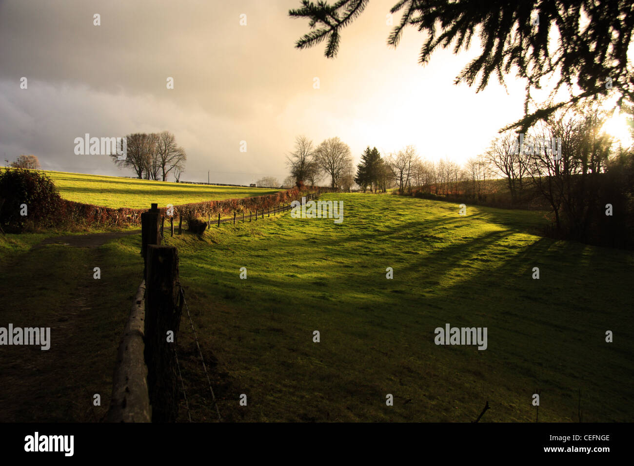 Autumn fall landscape with fields in Belgium Stock Photo - Alamy