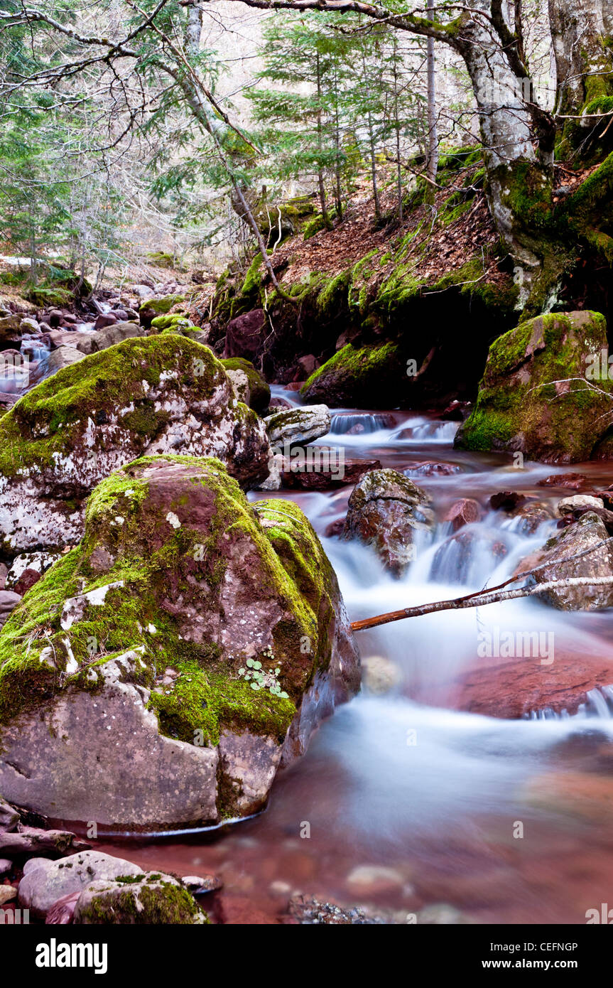 River flow at Pyrenees during spring, Spain Stock Photo - Alamy