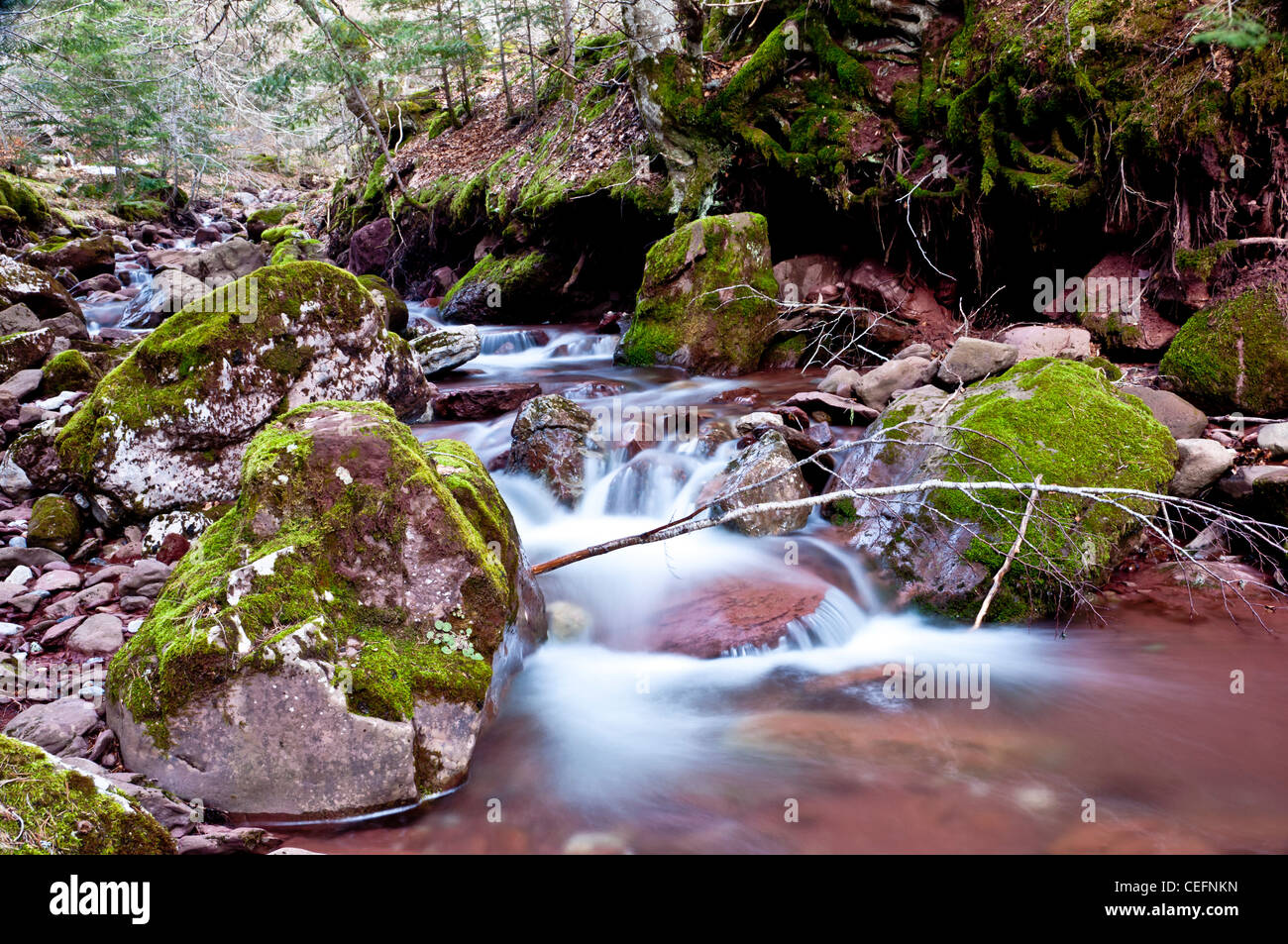 River flow at Pyrenees during spring, Spain Stock Photo - Alamy