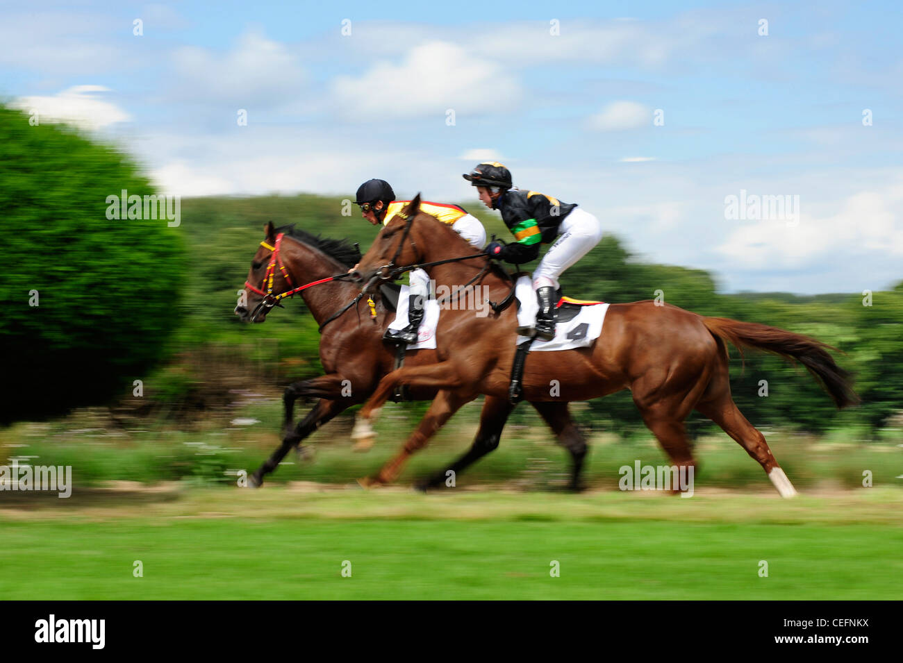 Pferde symbol hi-res stock photography and images - Alamy