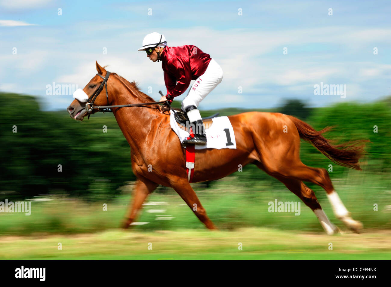 Jockey rides galloping racehorse Stock Photo - Alamy