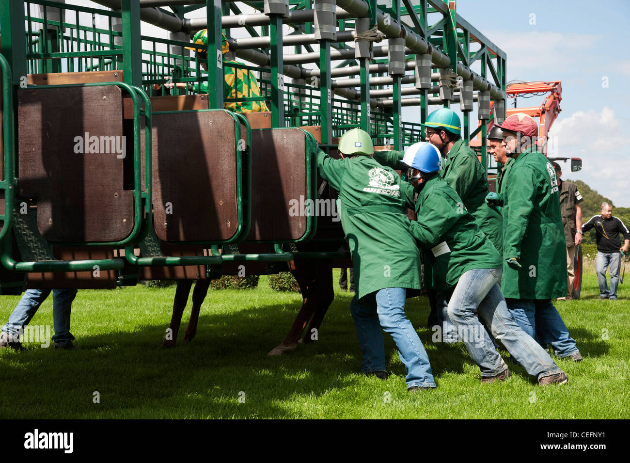 helpers try to force race horse into starting box Stock Photo - Alamy