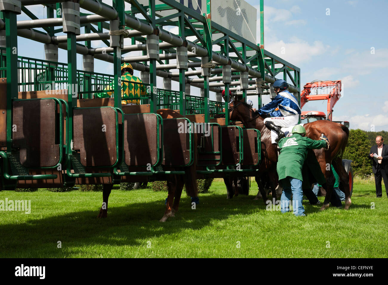helpers try to force race horse into starting box Stock Photo - Alamy