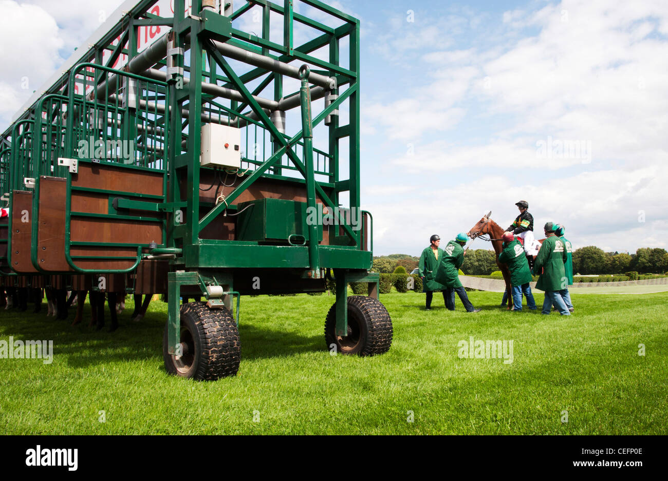 helpers try to force race horse into starting box Stock Photo - Alamy