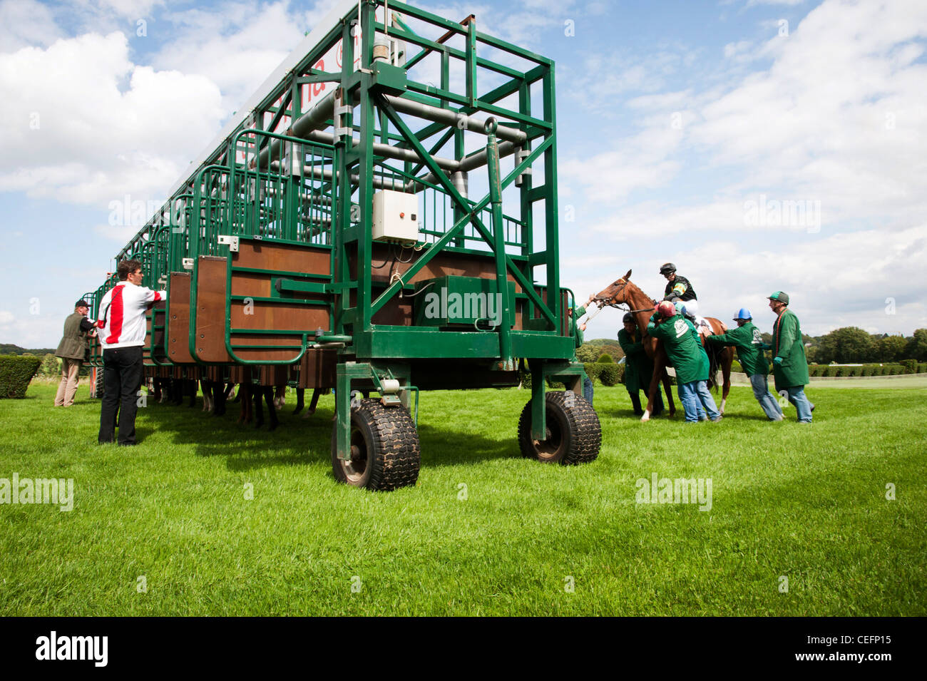 helpers try to force race horse into starting box Stock Photo - Alamy