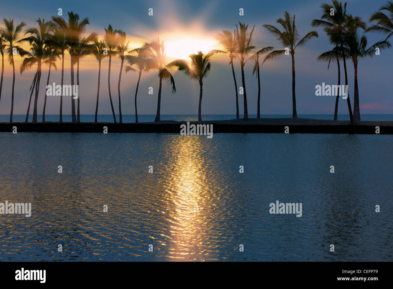 Palm trees sunset tropical hi-res stock photography and images - Alamy