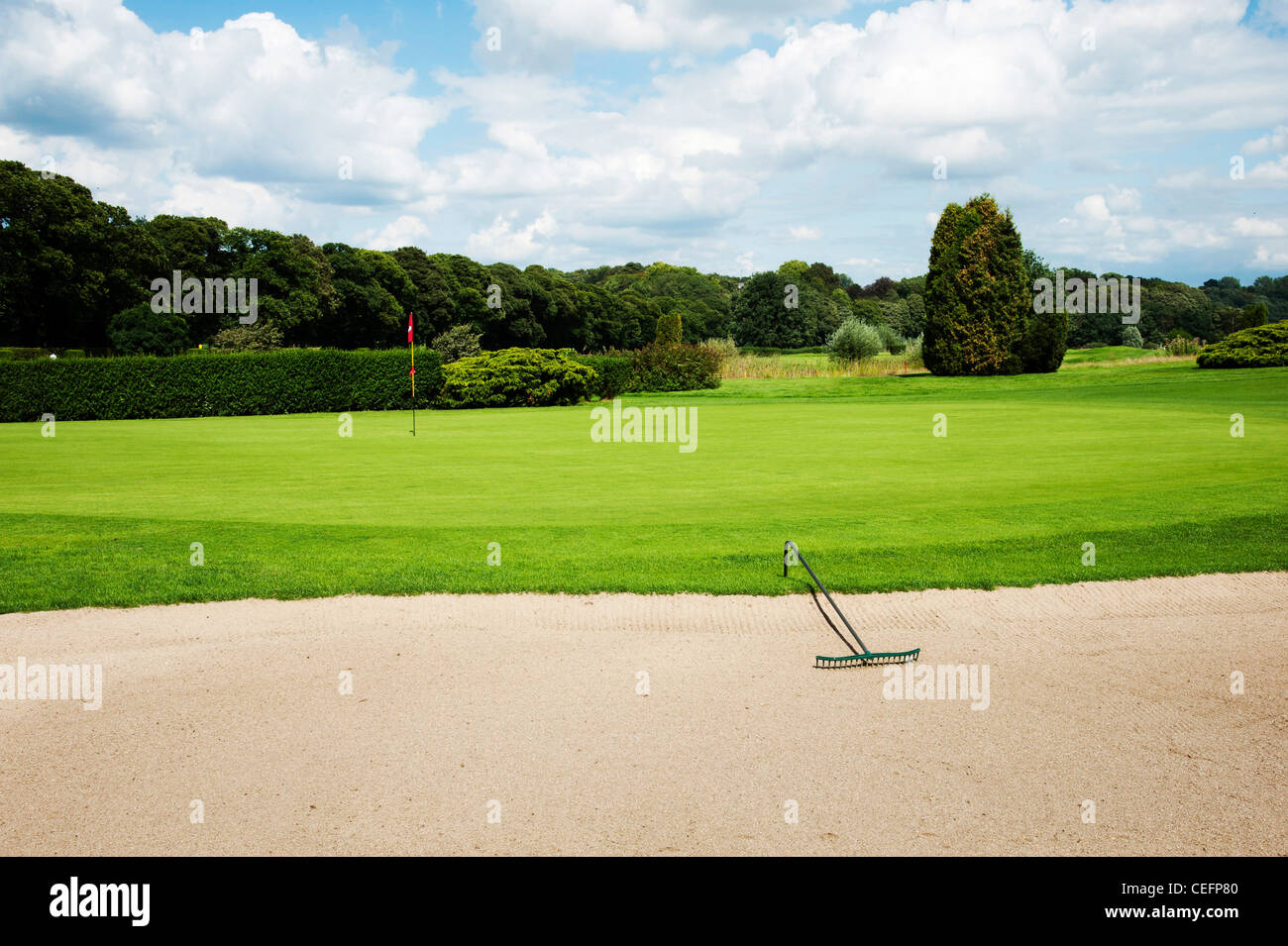 Number one in golf hi-res stock photography and images - Alamy