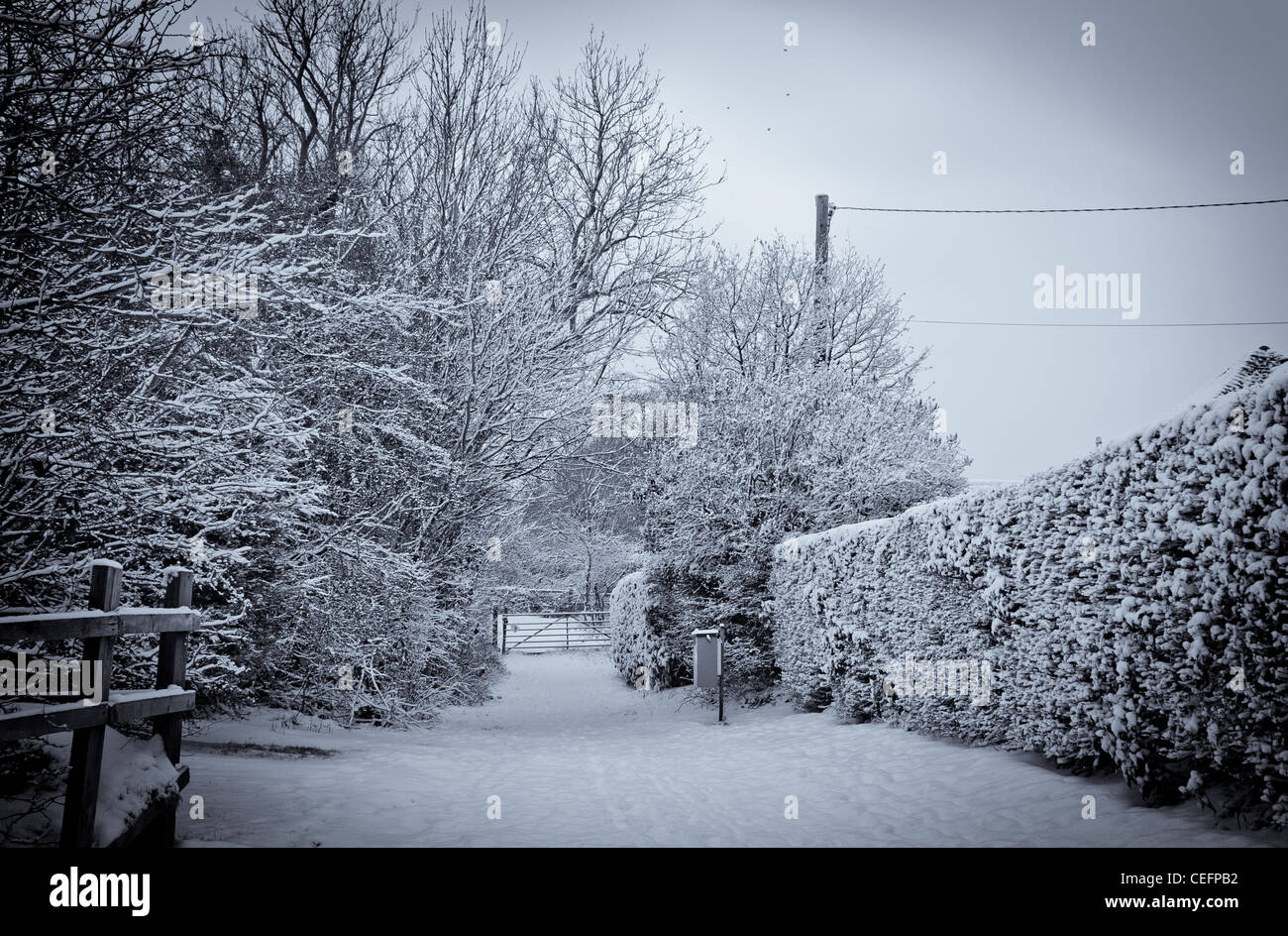 Walk through hedges hi-res stock photography and images - Alamy