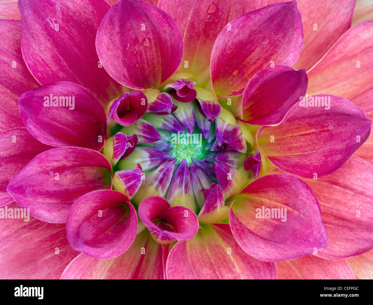 Azteca hi-res stock photography and images - Alamy