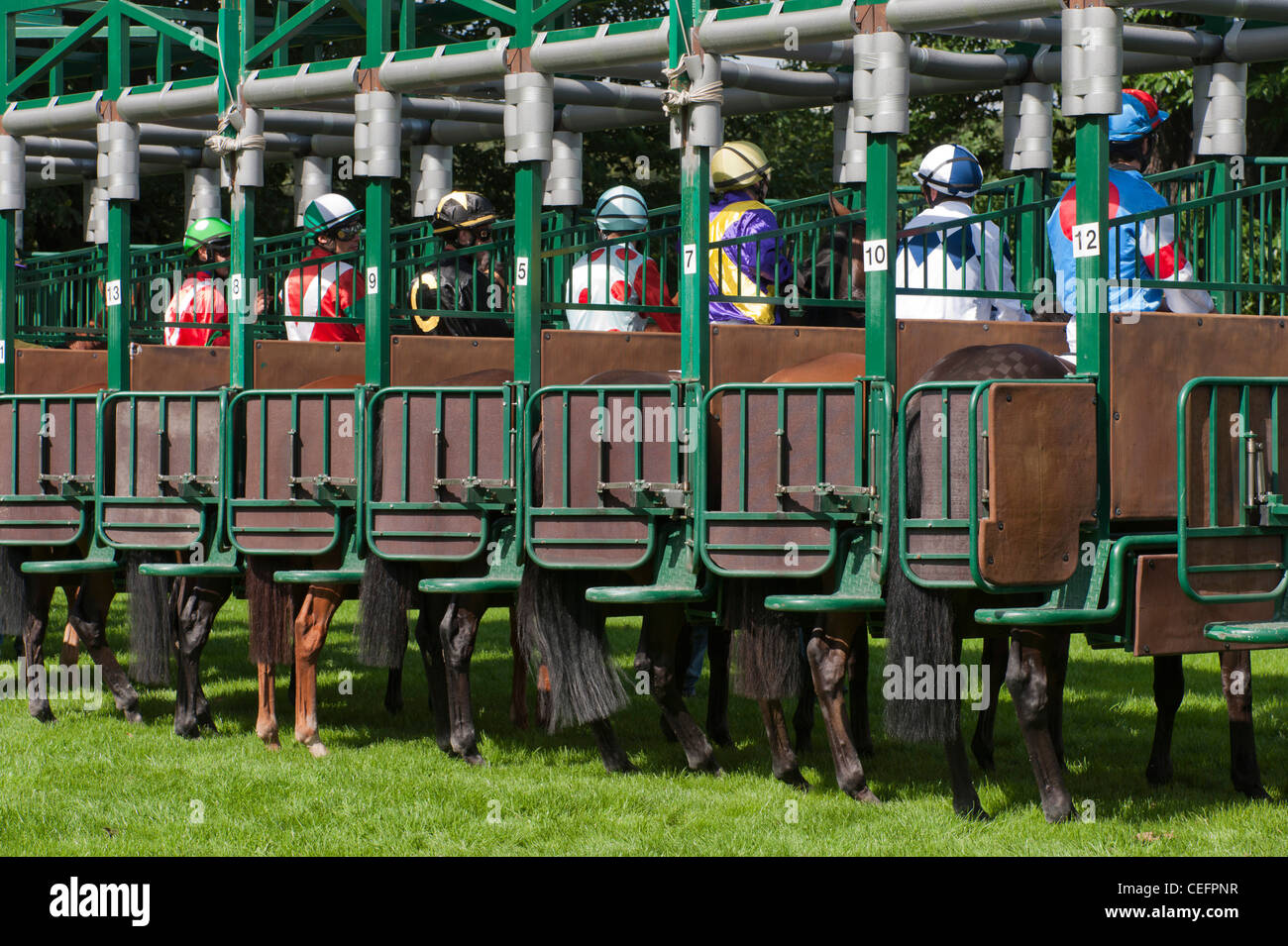 Pferde startbox hi-res stock photography and images - Alamy