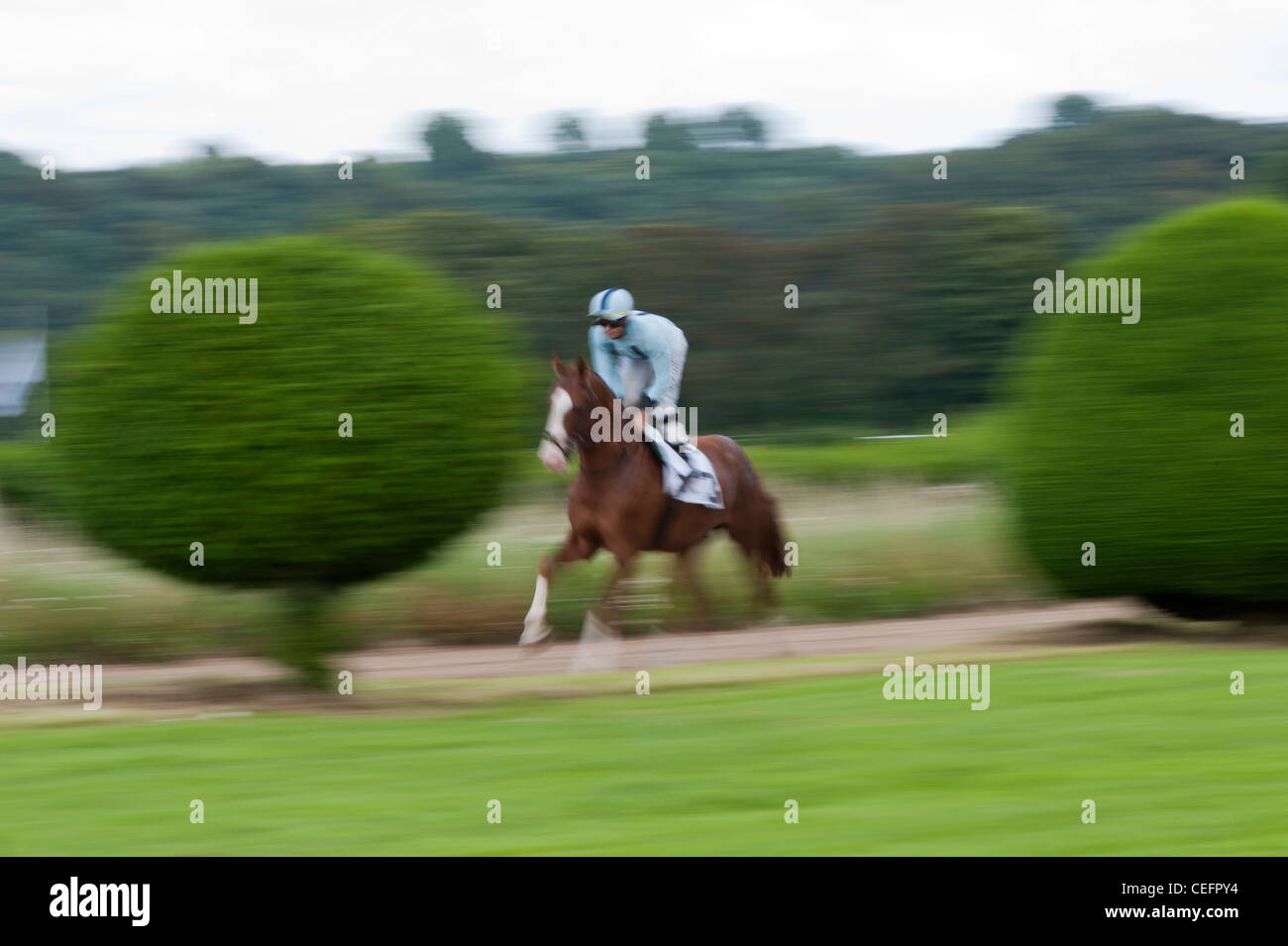 Jockey on race horse galloping Stock Photo - Alamy