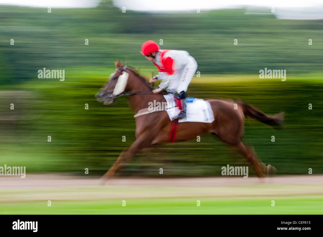 Jockey on race horse galloping Stock Photo - Alamy