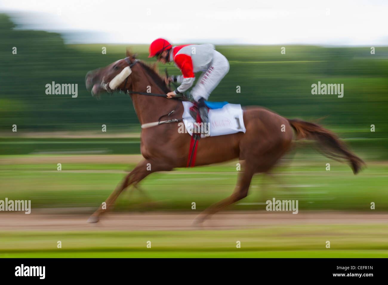 Jockey on race horse galloping Stock Photo - Alamy