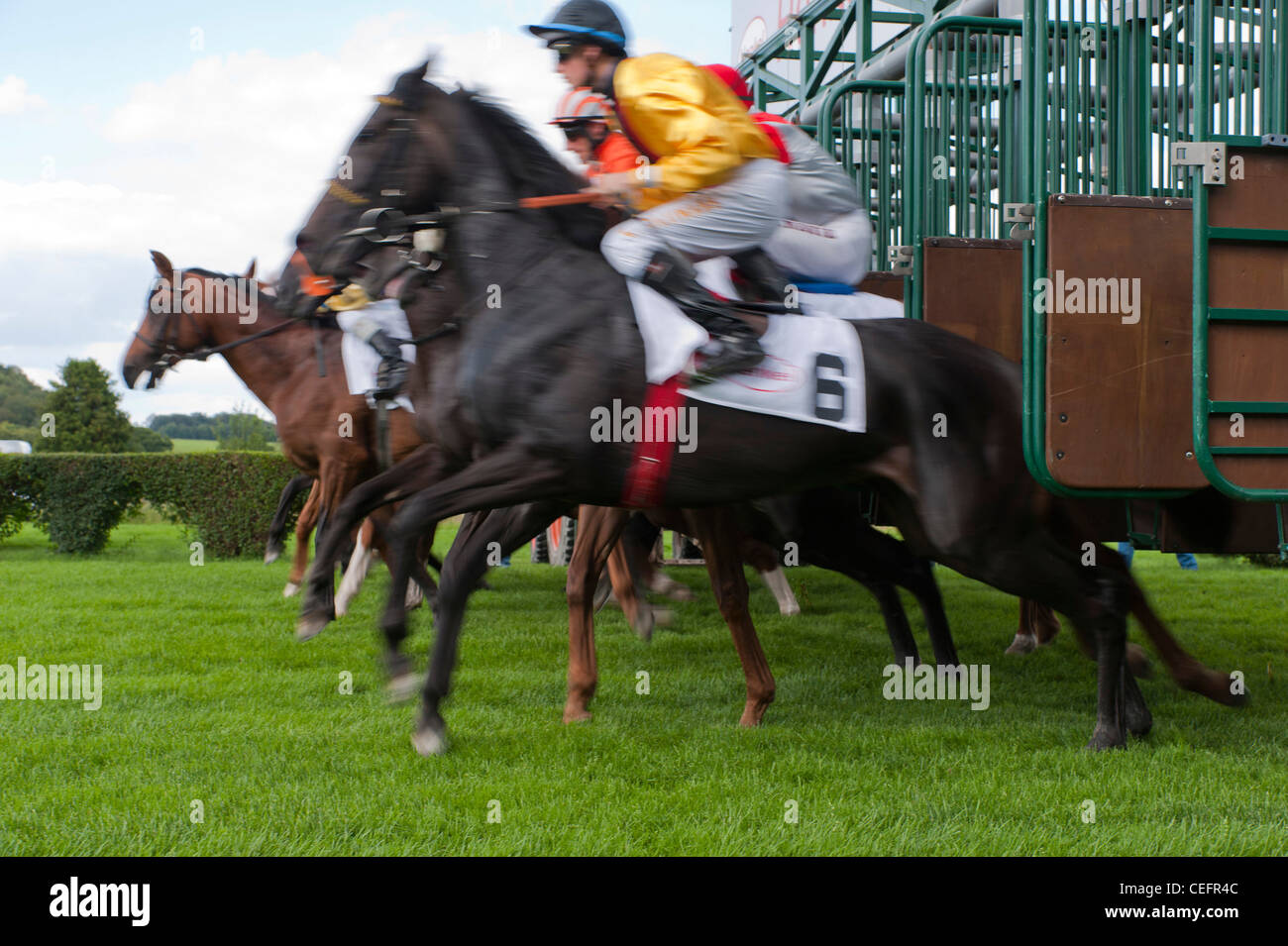 Galopprennbahn hi-res stock photography and images - Alamy