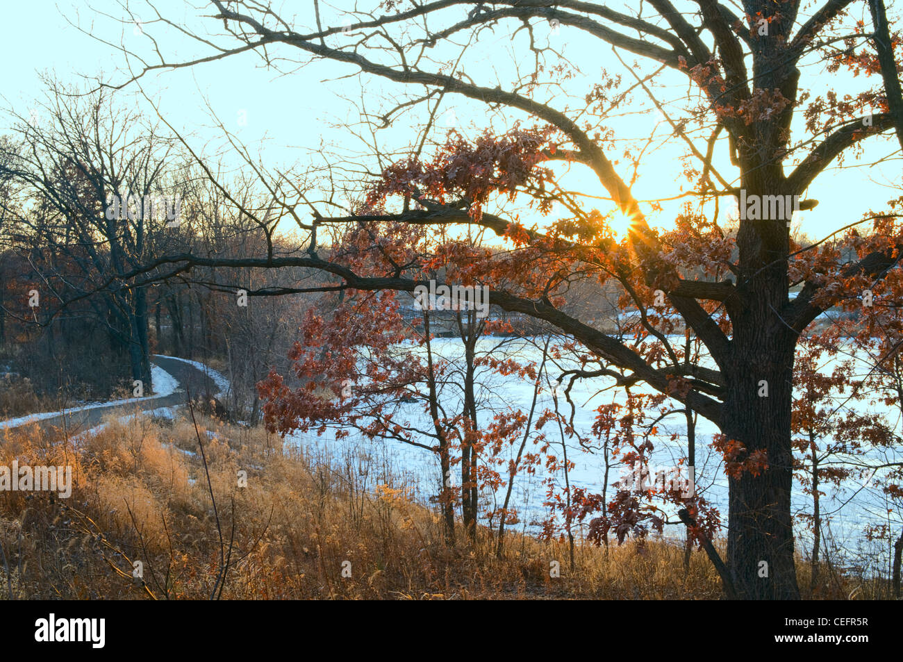 Thompson park hi-res stock photography and images - Alamy