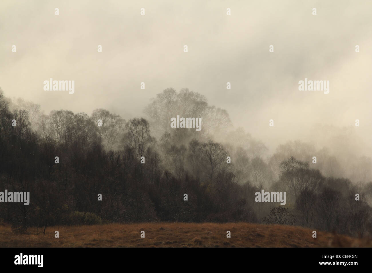 Scottish mist hi-res stock photography and images - Alamy