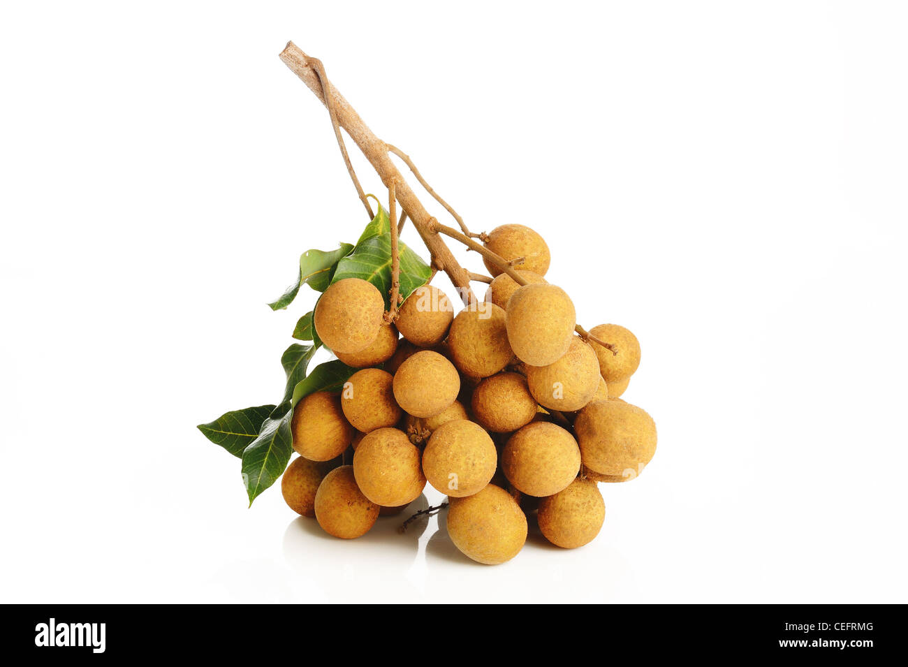 longan on white background Stock Photo - Alamy