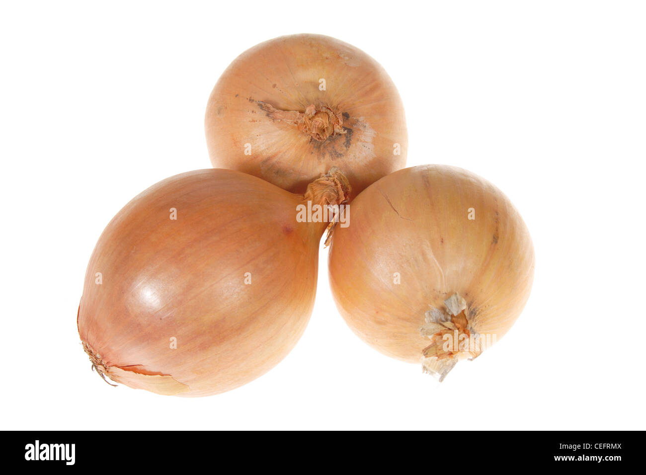 three onions photo on the white background Stock Photo - Alamy