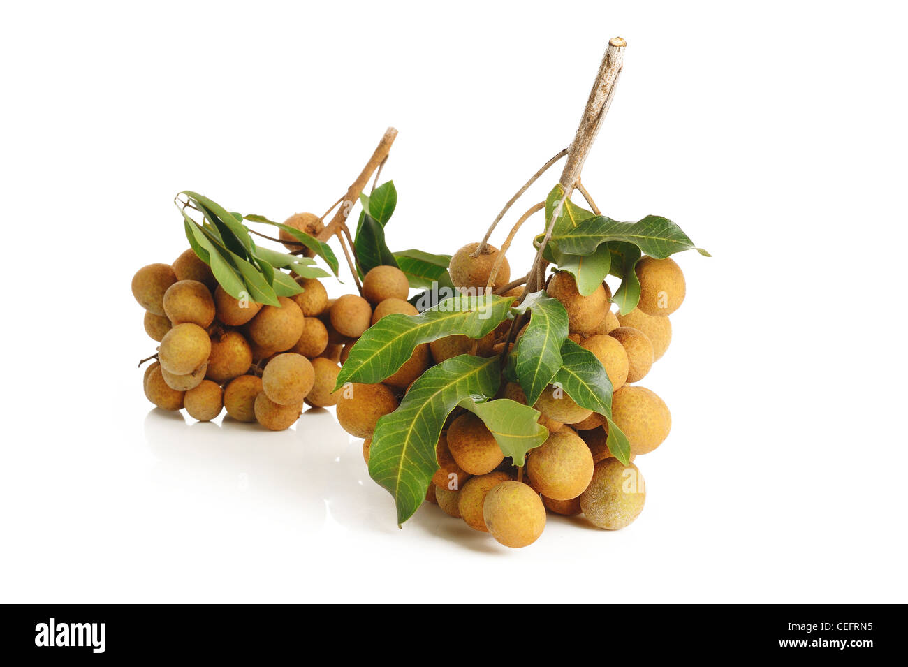 longan on white background Stock Photo - Alamy