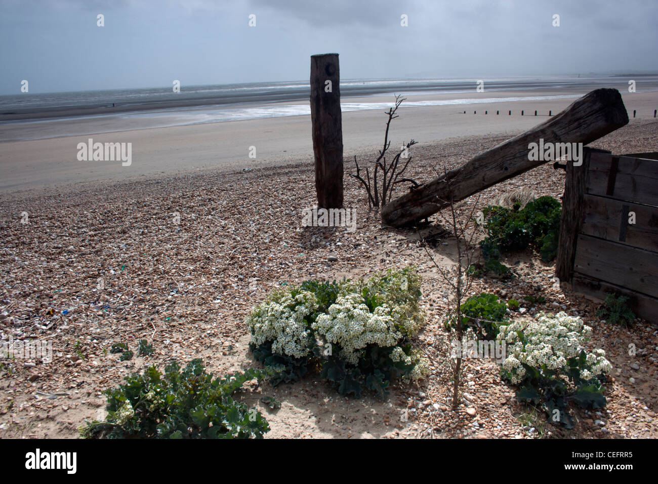 Camber Sands Kent Stock Photo - Alamy