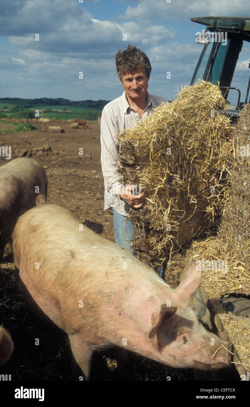 Pig farmer hi-res stock photography and images - Alamy