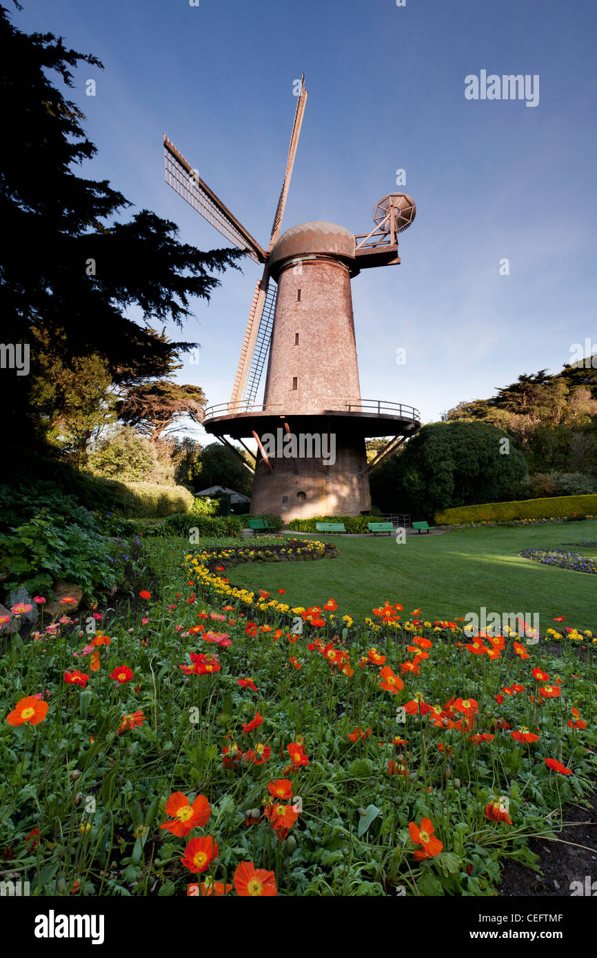 Wilhelmina Windmill, Golden Gate Park, San Francisco Stock Photo - Alamy