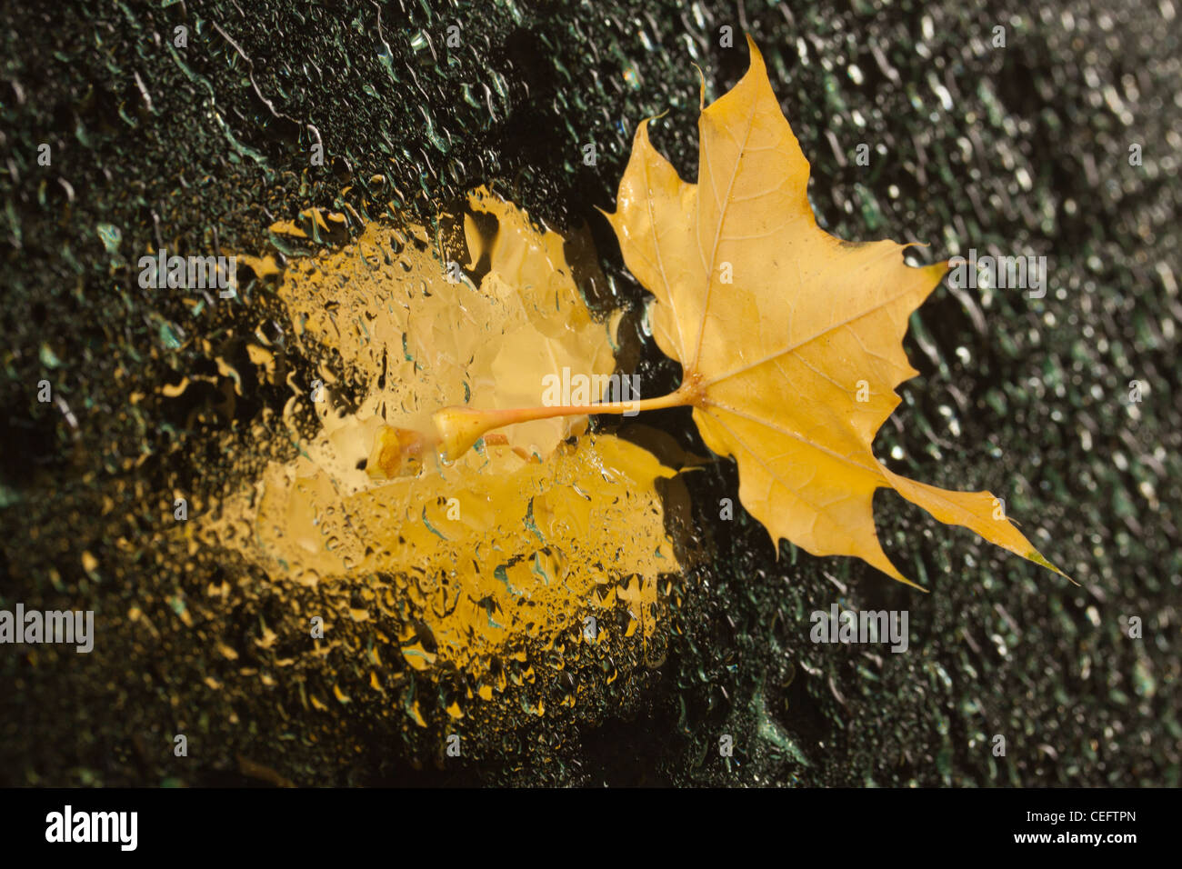 Rain late hi-res stock photography and images - Alamy
