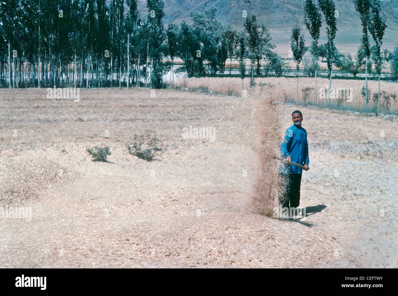 Wind winnowing of grain hi-res stock photography and images - Alamy