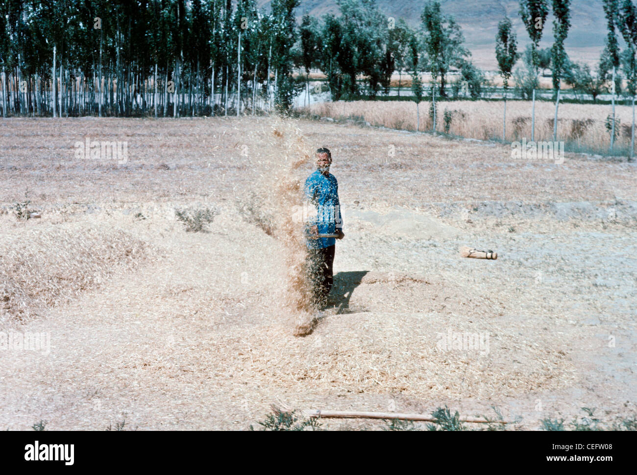 Farmer winnowing grain throwing wind hi-res stock photography and ...